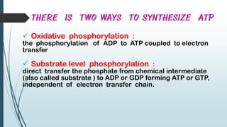 Biological oxidation (part - III) Oxidative Phosphorylation | PDF