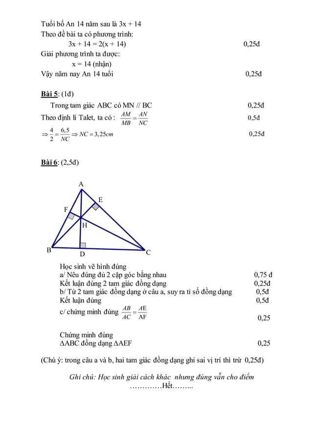 Đề Thi HK2 Toán 8 - THCS Trung Lập | PDF