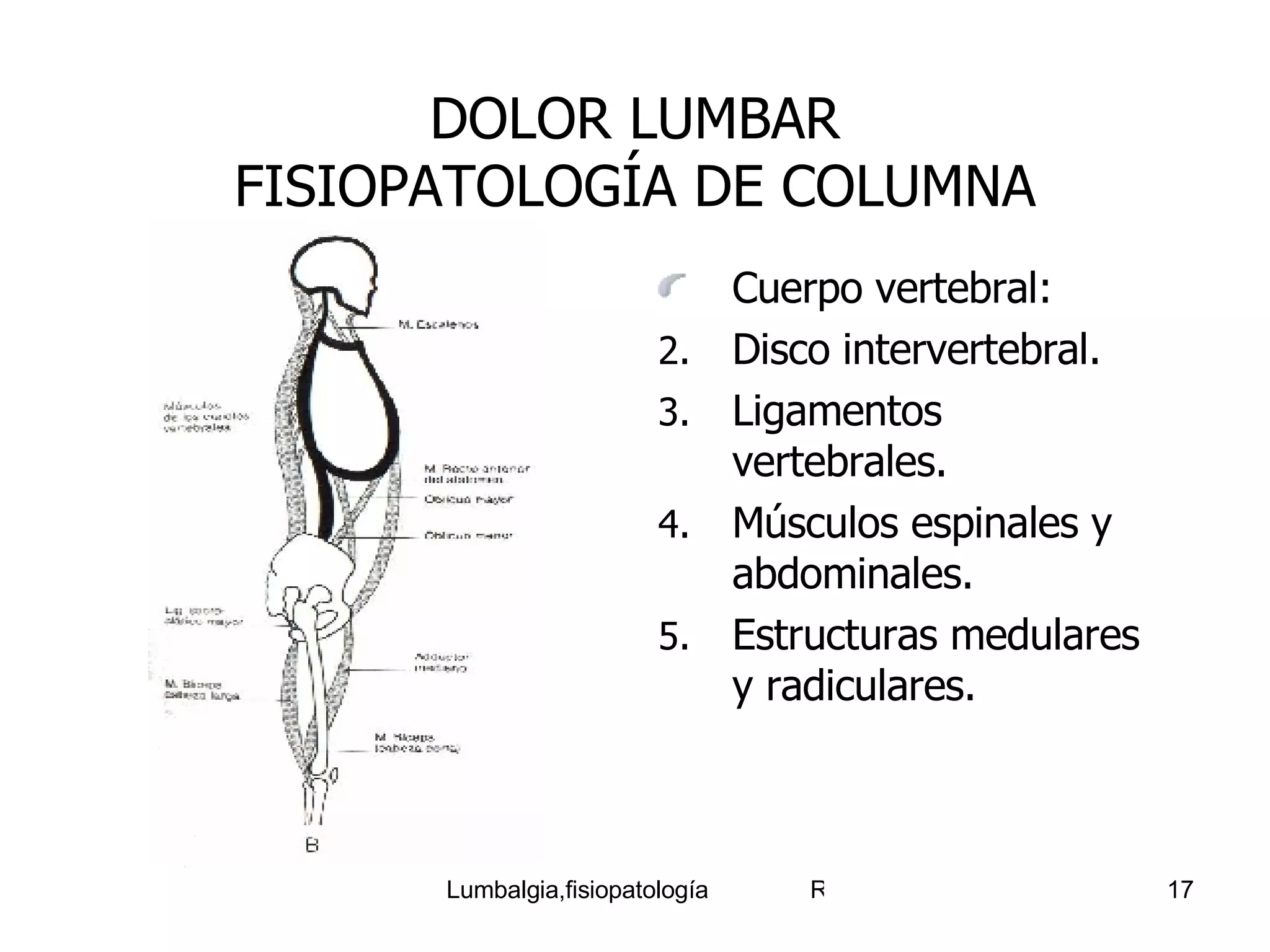 63 Lumbalgia FisiopatologíA | PPT