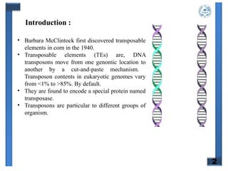 630430019-Transposons-in-humavety usefulns.pdf | Genetics | Science