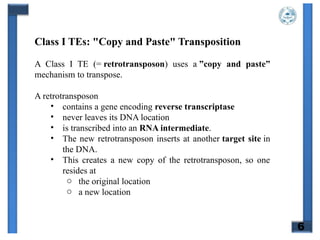 630430019-Transposons-in-humavety usefulns.pdf | Genetics | Science