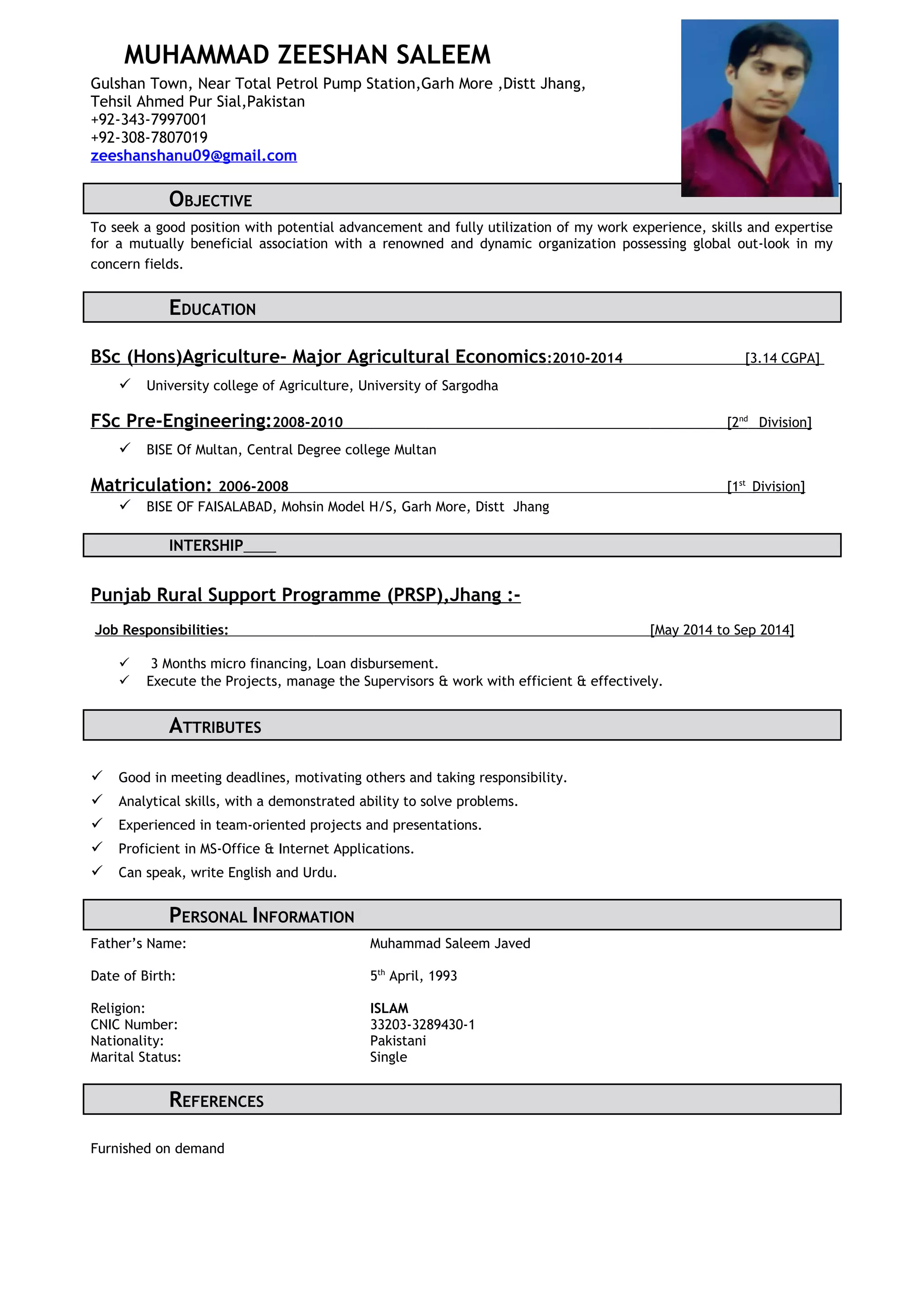 Muhammad zeeshan Saleem | PDF