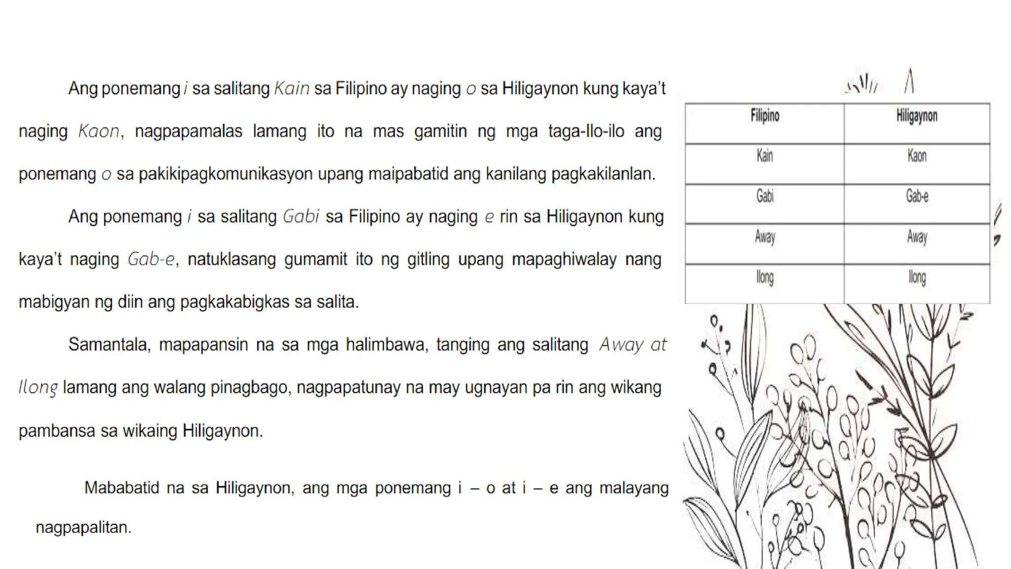 630599010-The-Hiligaynon in the Philippines.pptx