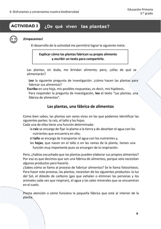630876414-3-Tercer-Grado-de-Primaria-docx.docx