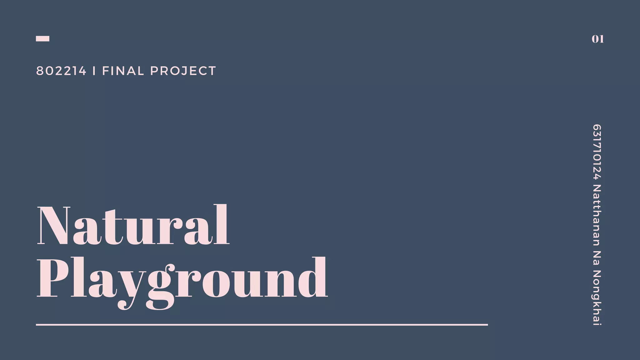 Survey Workshop Playground | PDF