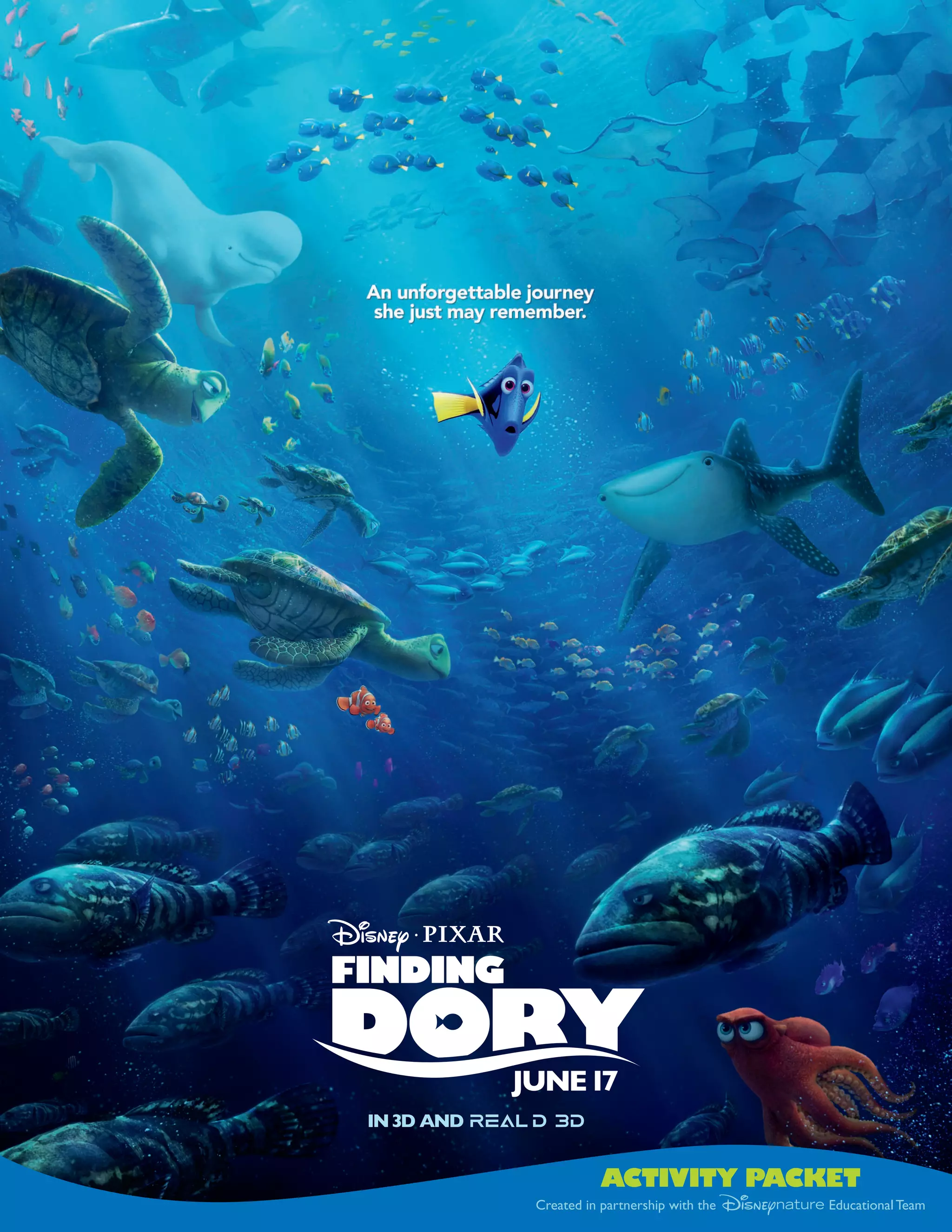 FD ACTIVITY PACKET_FNL4 | PDF