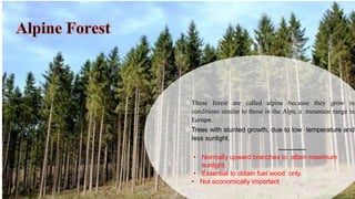 Forests of Pakistan | PPTX