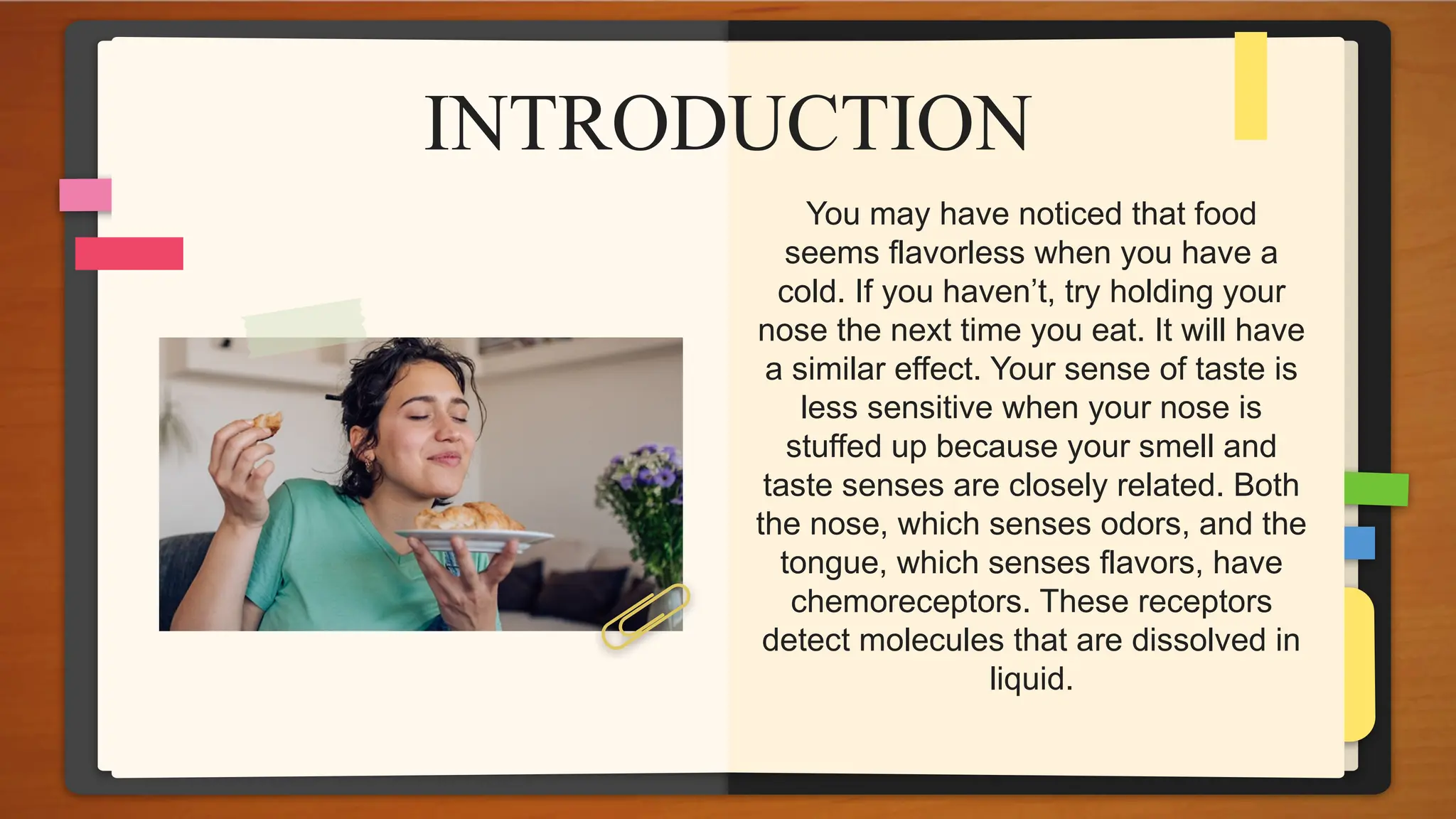 632236107-The-senses-Taste-Smell-Touch.pdf