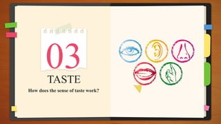 632236107-The-senses-Taste-Smell-Touch.pdf | Free Download