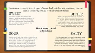 632236107-The-senses-Taste-Smell-Touch.pdf