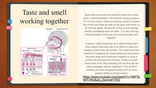 632236107-The-senses-Taste-Smell-Touch.pdf