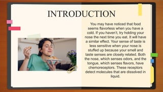 632236107-The-senses-Taste-Smell-Touch.pdf