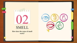632236107-The-senses-Taste-Smell-Touch.pdf | Free Download