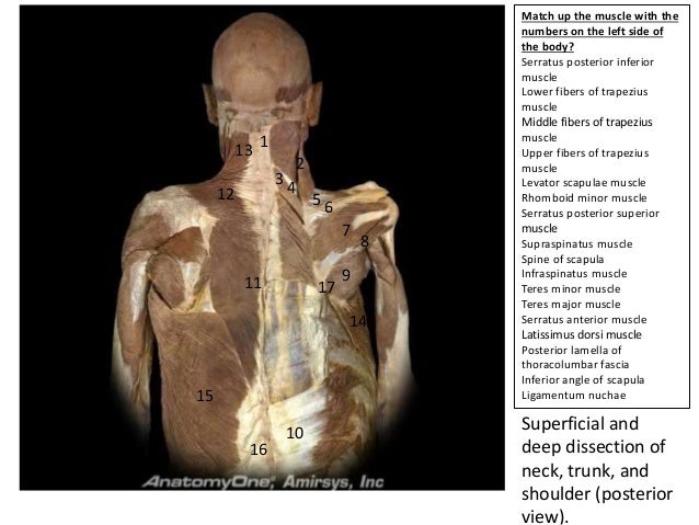 Lecture Two chapter 2 and 3 (#3) posted PPP