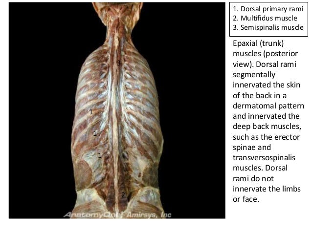 Lecture Two chapter 2 and 3 (#3) posted PPP