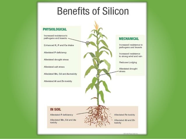 Presentation Complete NV