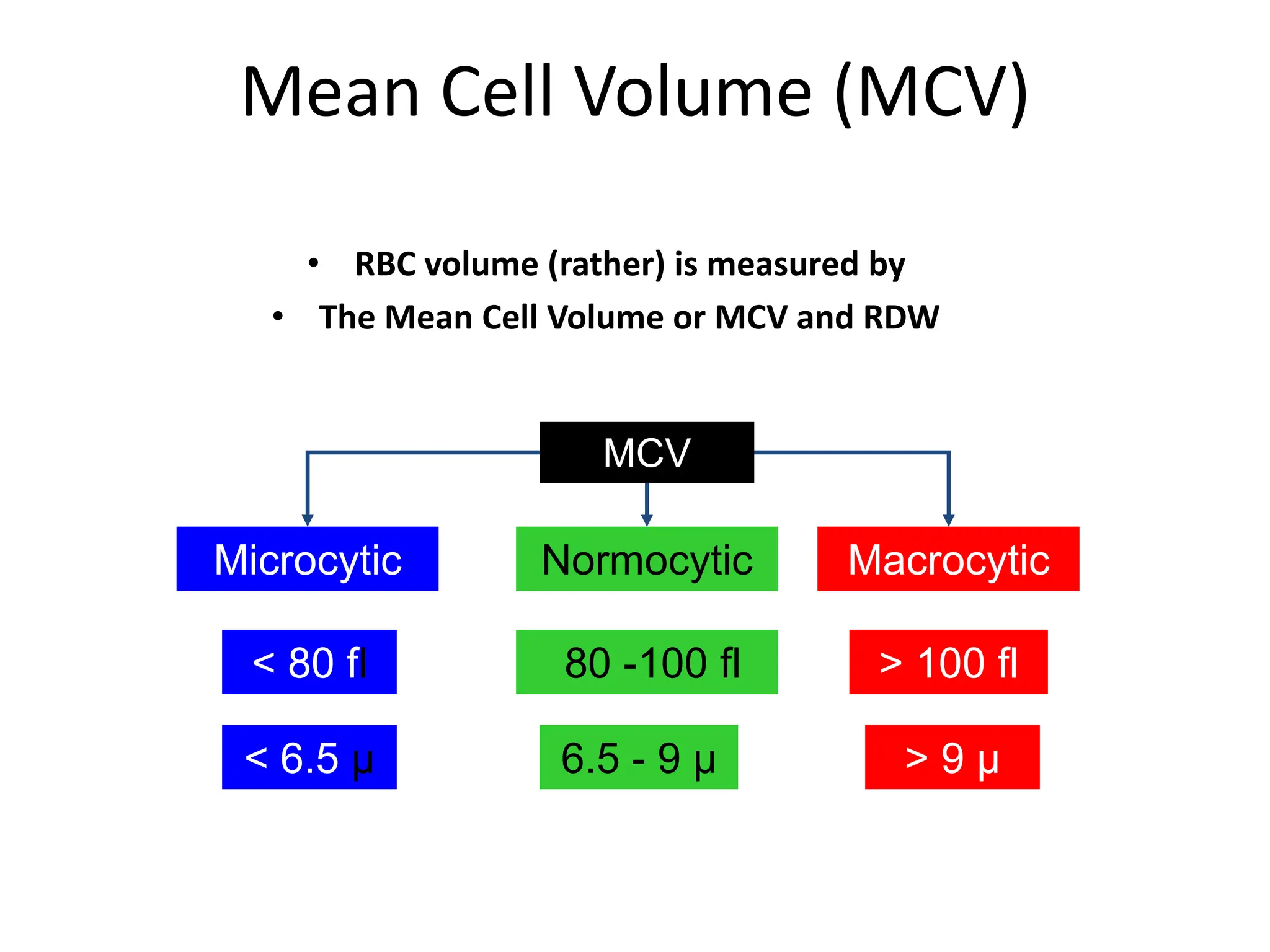 Medical surgicalnursing-Anemia-ppt-Raafat-pptx.pptx