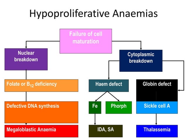 Medical surgicalnursing-Anemia-ppt-Raafat-pptx.pptx