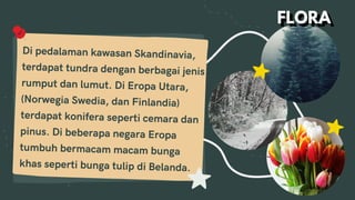 Informasi tentang letak dan luas benua eropa | PPT