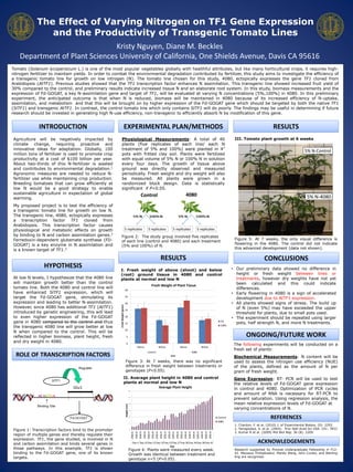 Nguyen, K. Beckles, DM. (2013) The Effect of Varying Nitrogen on TF1 ...