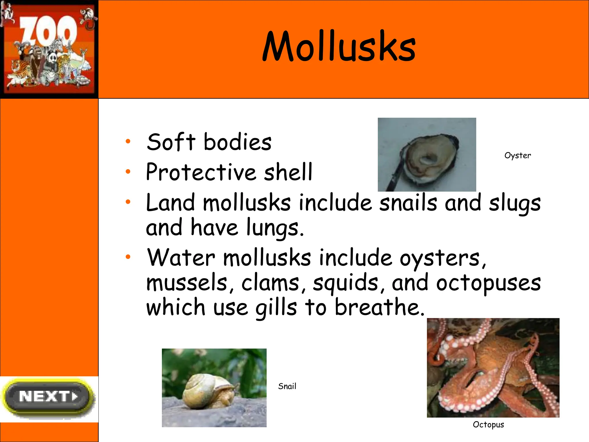 634199322-LAS-34-Vertebrates-Invertebrates-ppt.ppt