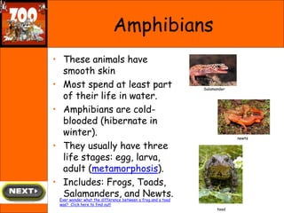 634199322-LAS-34-Vertebrates-Invertebrates-ppt.ppt