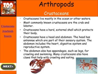 634199322-LAS-34-Vertebrates-Invertebrates-ppt.ppt