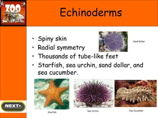 634199322-LAS-34-Vertebrates-Invertebrates-ppt.ppt