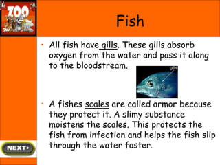634199322-LAS-34-Vertebrates-Invertebrates-ppt.ppt
