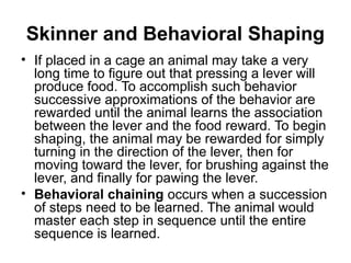 6347096-Behaviorissfsdfsdfst-Theories.ppt