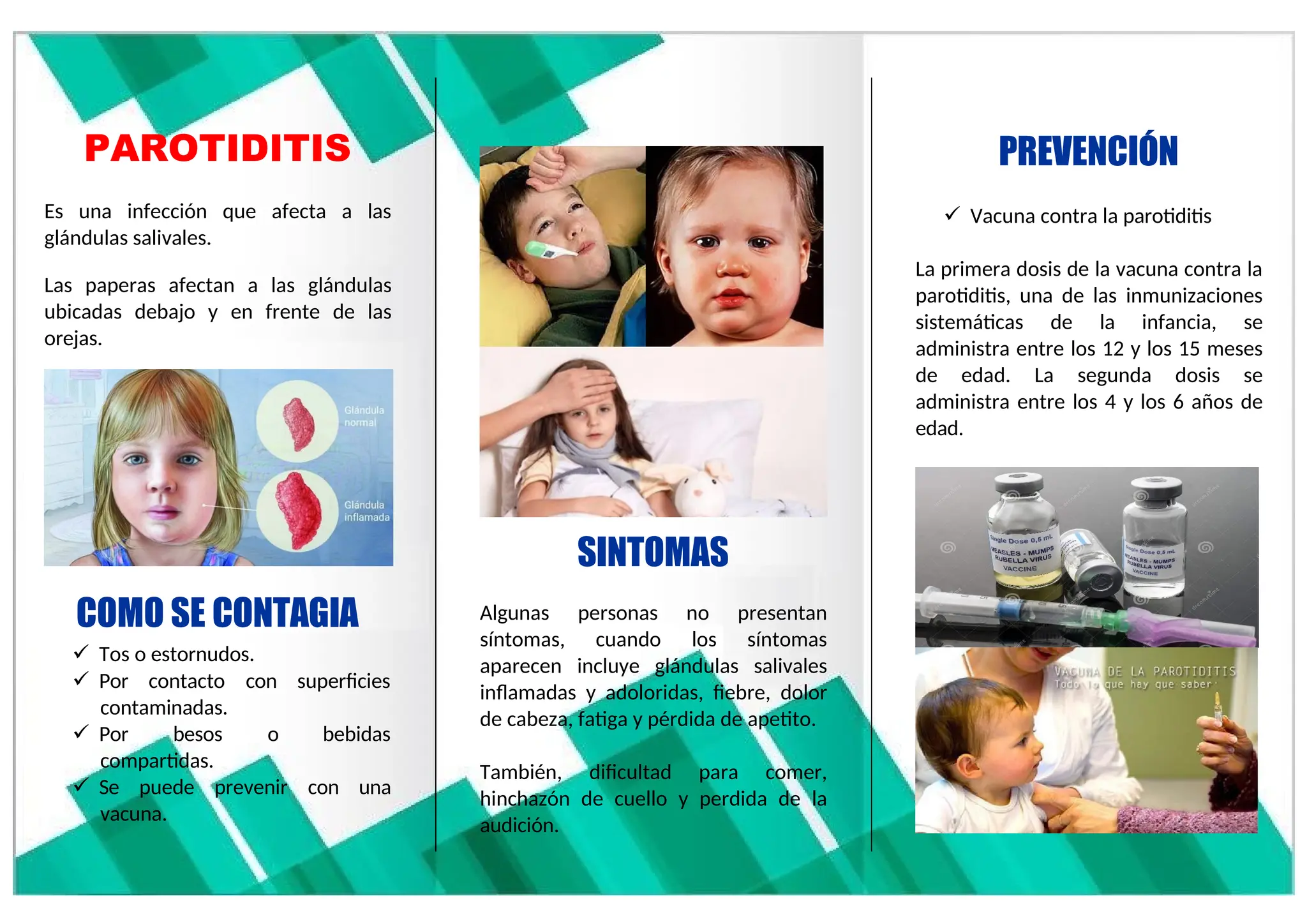 TRIPTICO-PAROTIDITIS enfermedad de paperas | DOCX