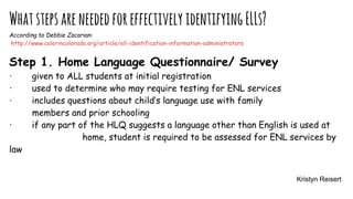 635 Curricular investigation #2 | PPTX