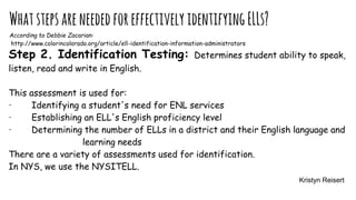 635 Curricular investigation #2 | PPTX