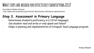 635 Curricular investigation #2 | PPTX