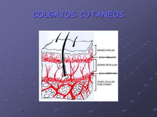 63612288-COLGAJOS.ppt