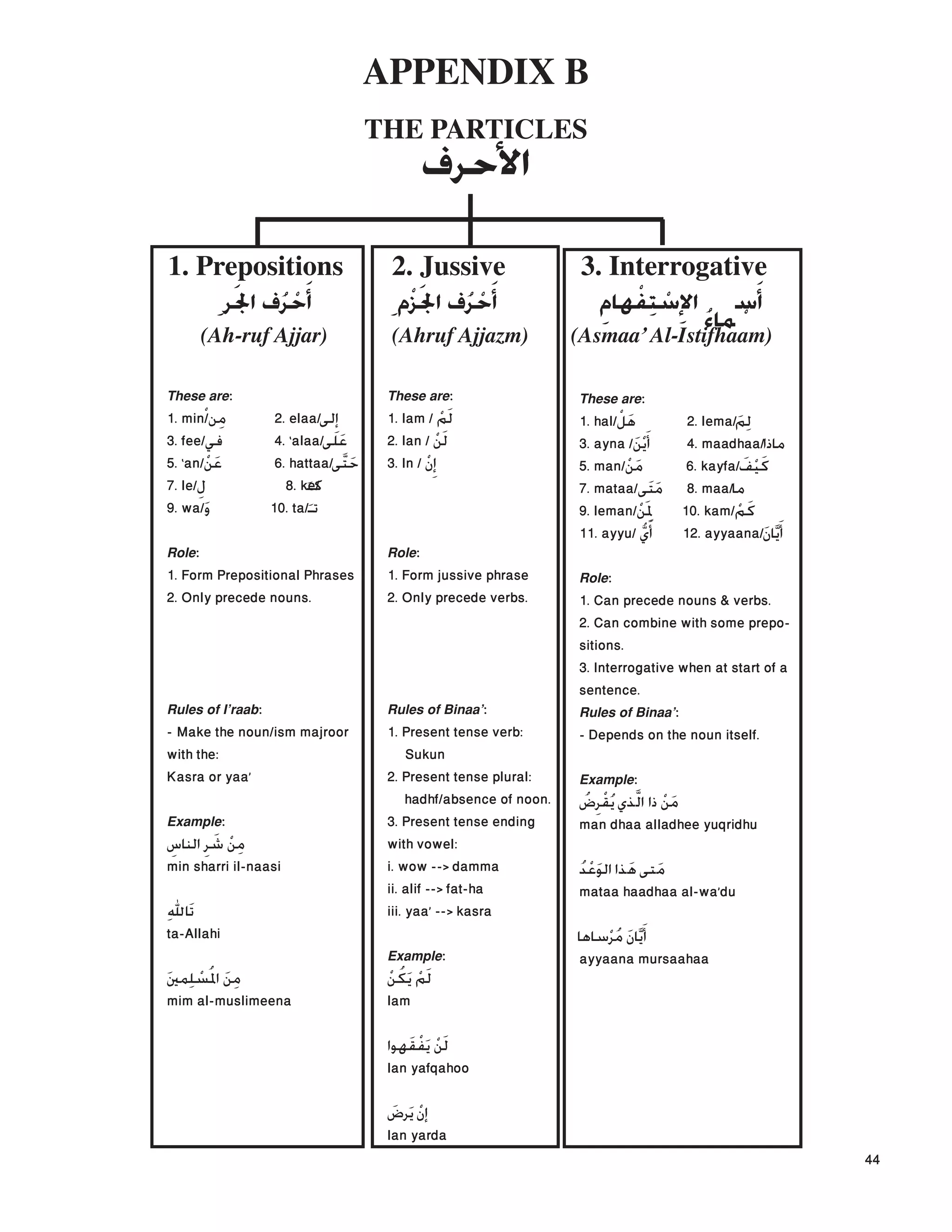 Arabic Nouns | PDF