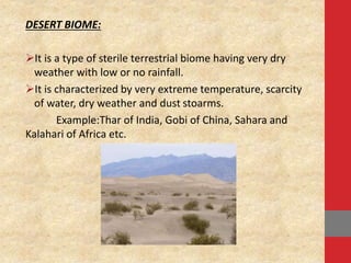 637619032676349244DesertBiome guyghjghiu.pptx