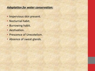 637619032676349244DesertBiome guyghjghiu.pptx