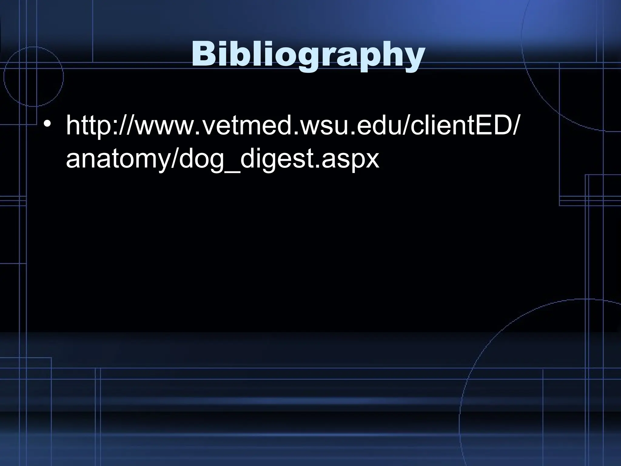 Dog Digestive system - simple stomach animal | PPT