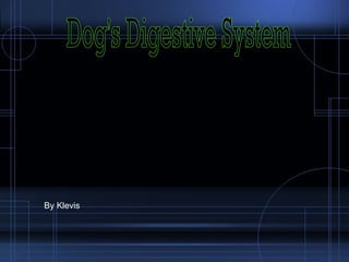 Dog Digestive system - simple stomach animal | PPT