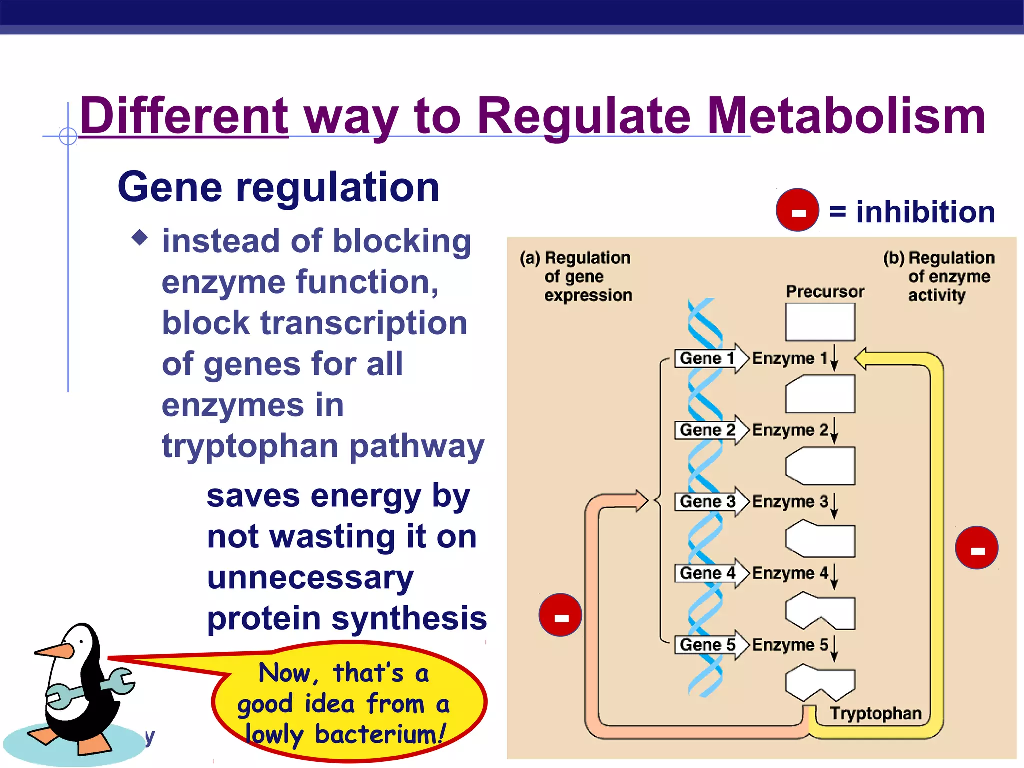 63 bacterialgenecontrol2007 | PPT