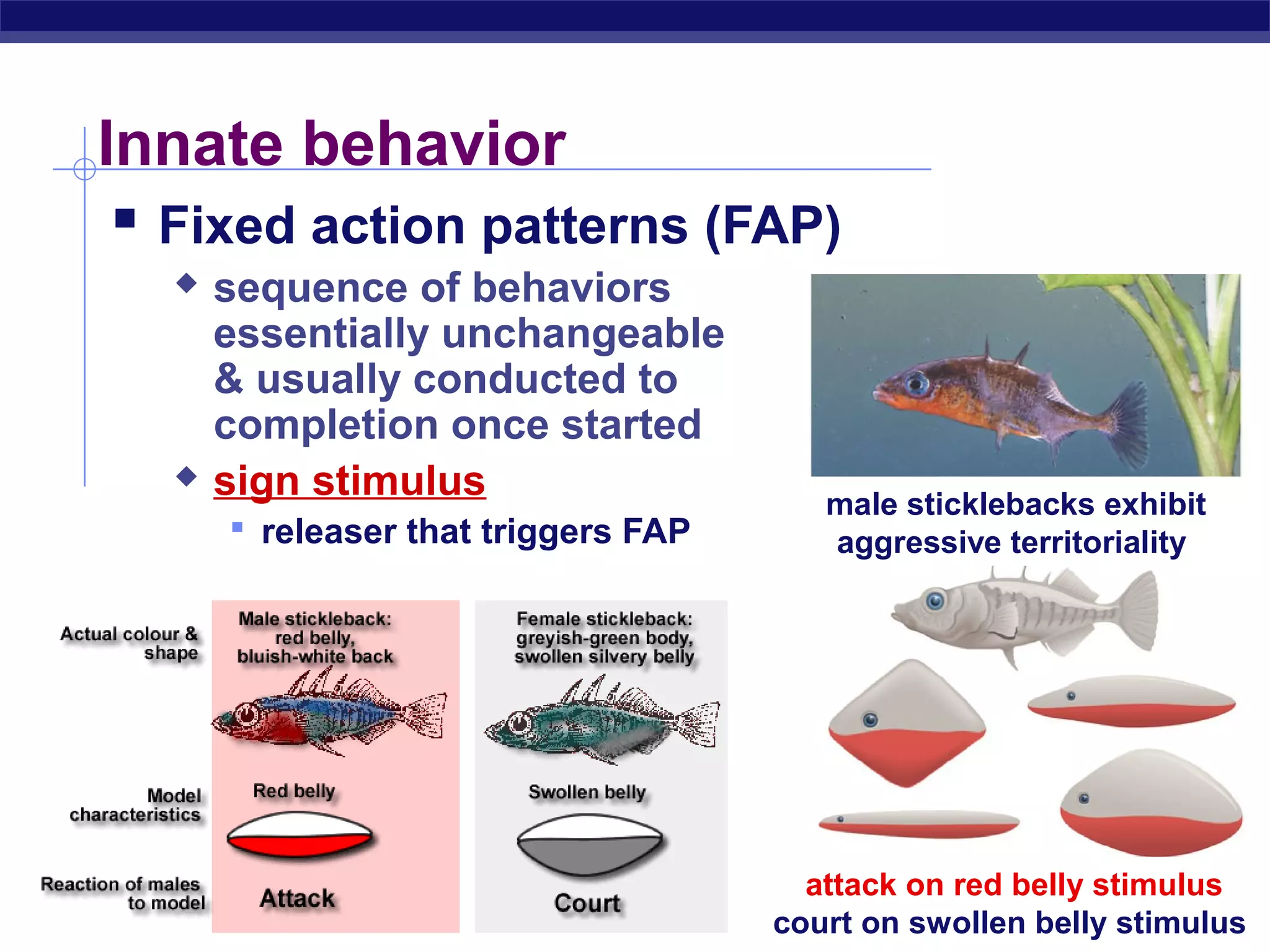 63 ch51behavior2005 | PPT