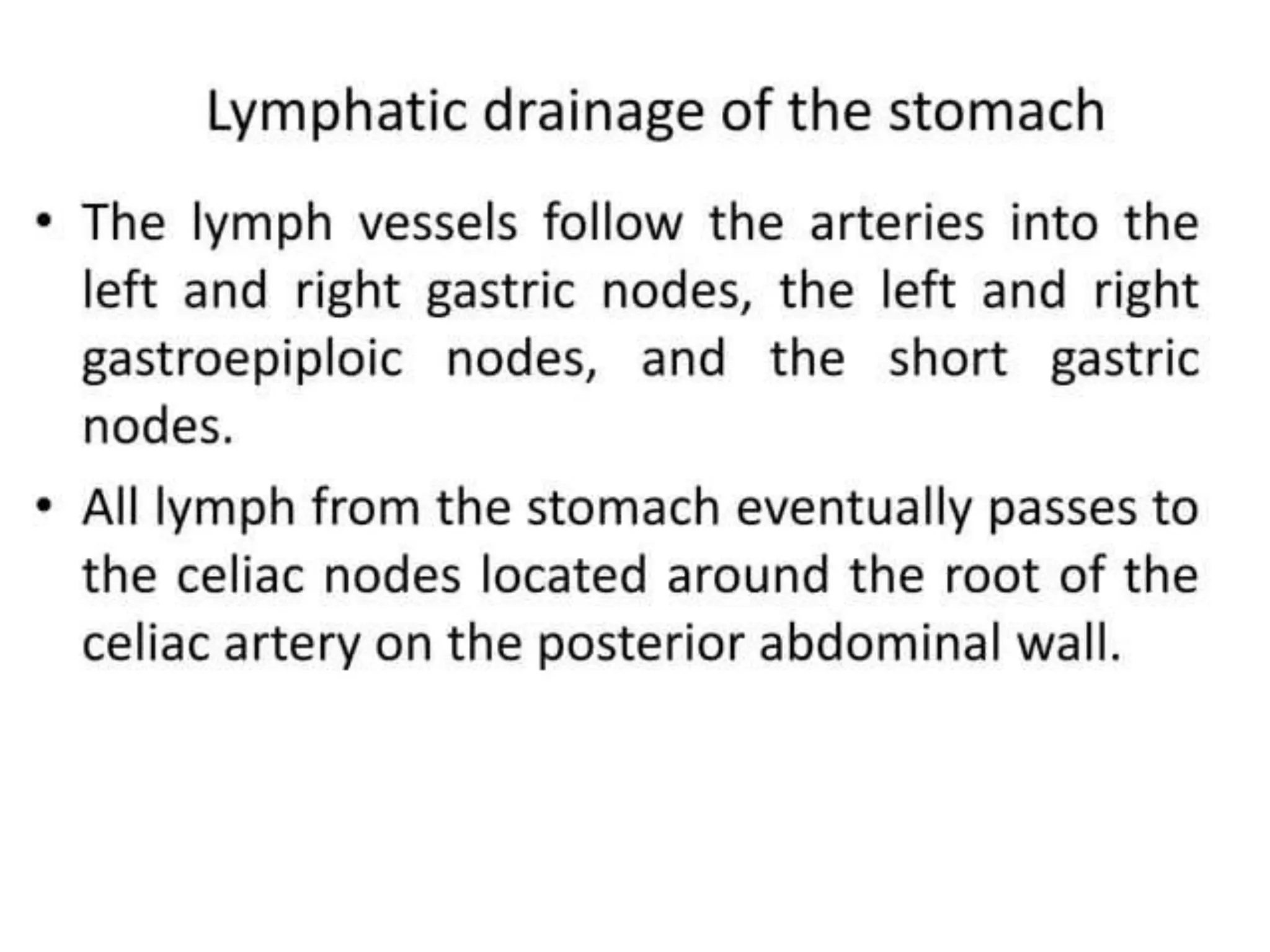 Anatomy of stomach by Pravina Chaudhary.. | PPTX