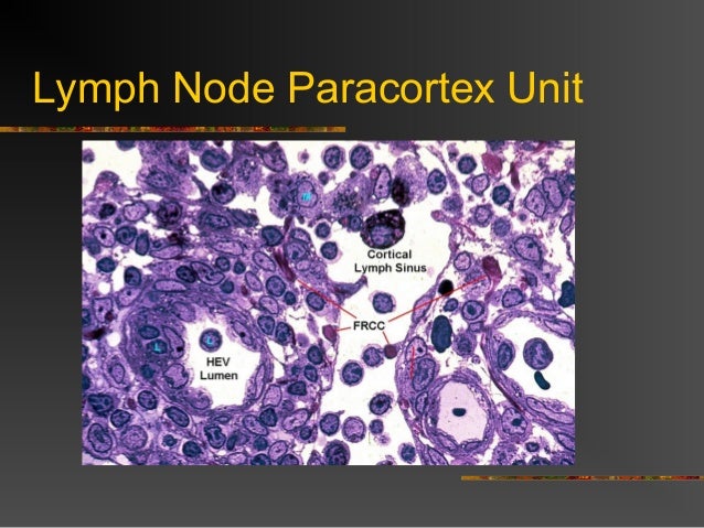 _ AndersonAO ACVP LN Lecture