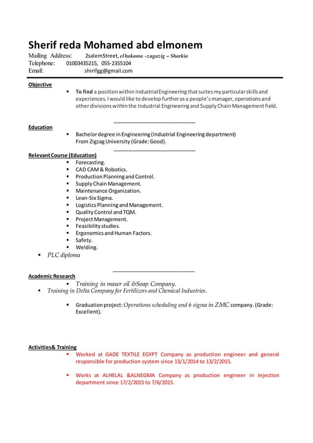 eng SHERIF cv.docxfff | PDF