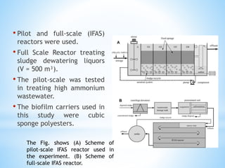 Integrated Fixed-Film Activated Sludge (IFFAS) | PPTX