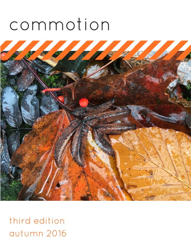 Commotion - Autumn 2016 | PDF