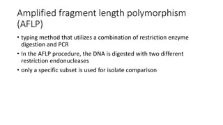 Genotyping methods of nosocomial infections pathogen | PPT
