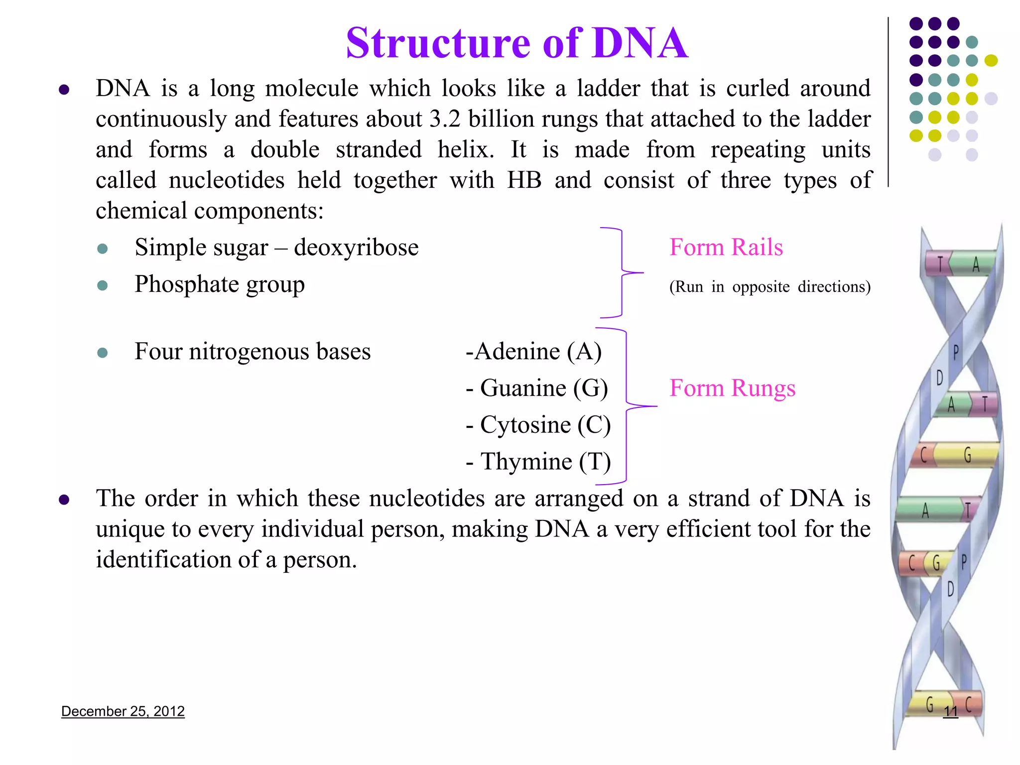 Forensic DNA Typing-M. Asif | PDF
