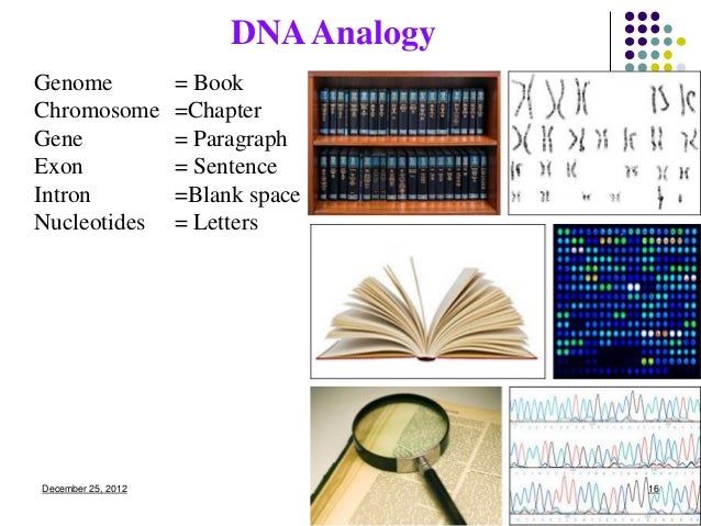 Forensic DNA Typing-M. Asif